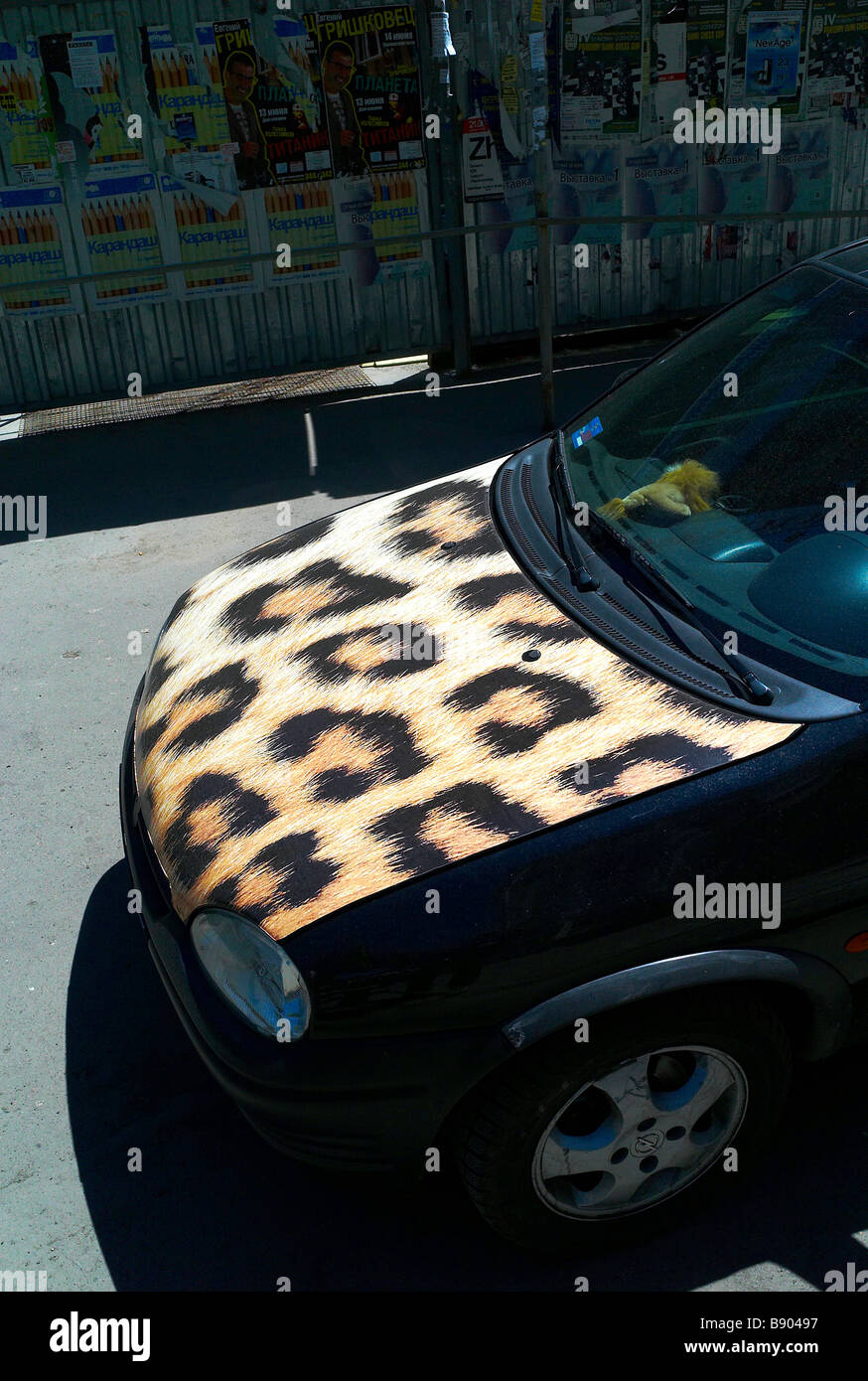 An Opel Corsa with a leopard skin bonnet a small car with a leopard ...