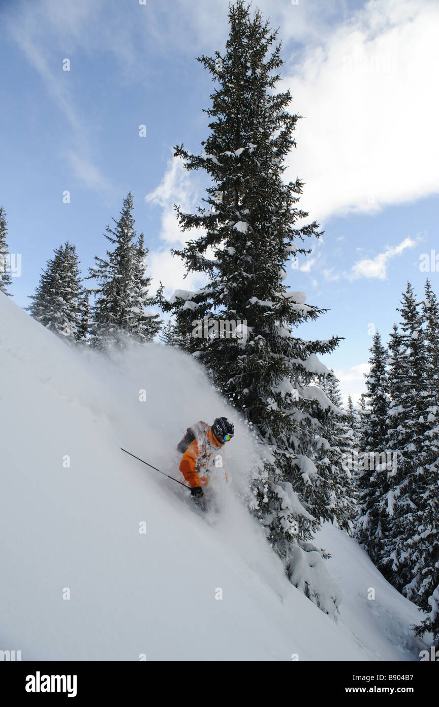 Deep powder skiing hi-res stock photography and images - Alamy