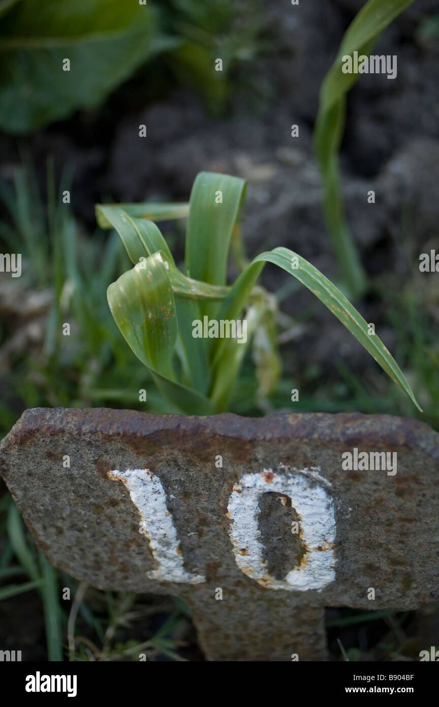 Allotment number hi-res stock photography and images - Alamy