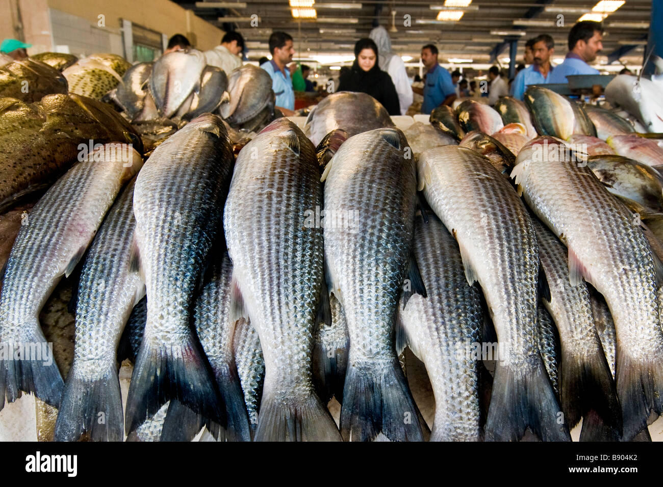 Fish market Deira Dubai United Arab Emirates Stock Photo - Alamy