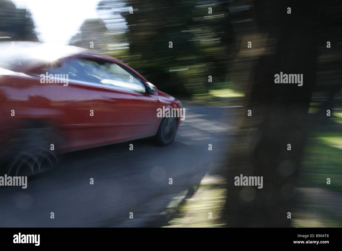 Trees street road one one concept idea hi-res stock photography and ...