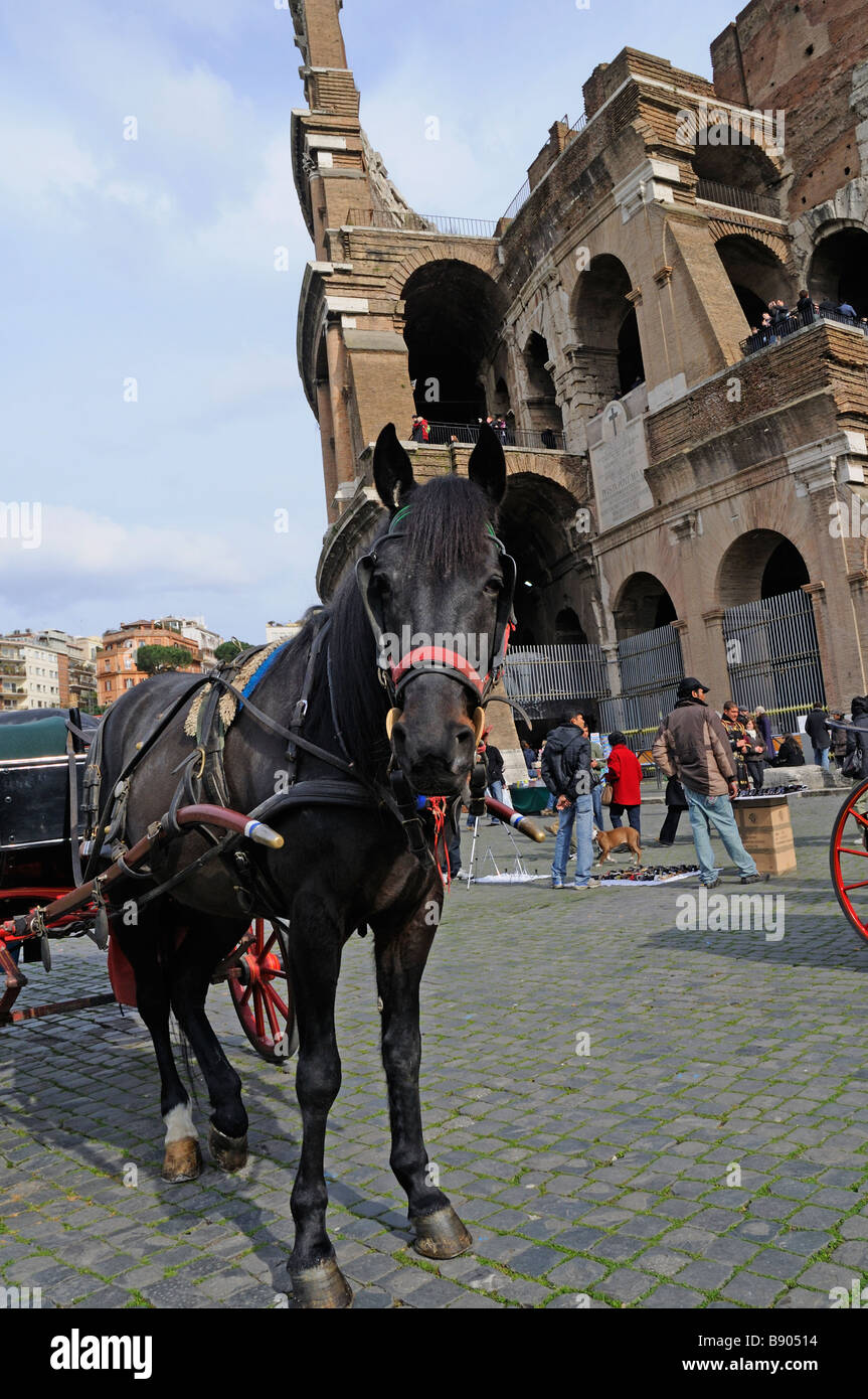 Horse and Carriage at the Colisseum in Rome, Italy, Europe Stock Photo ...