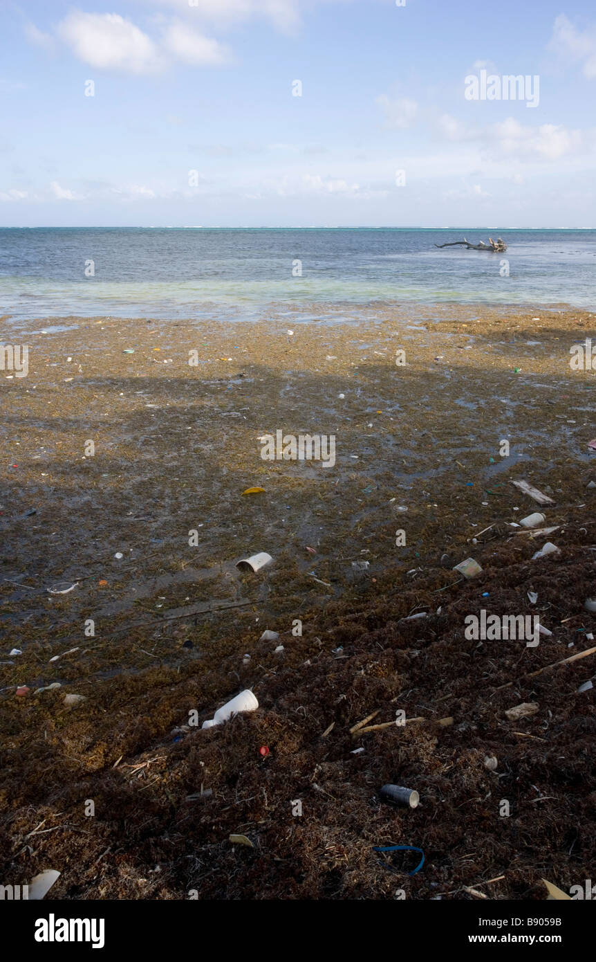 Trash and debris blown onto the shore of Ambergris Caye in Belize Stock ...