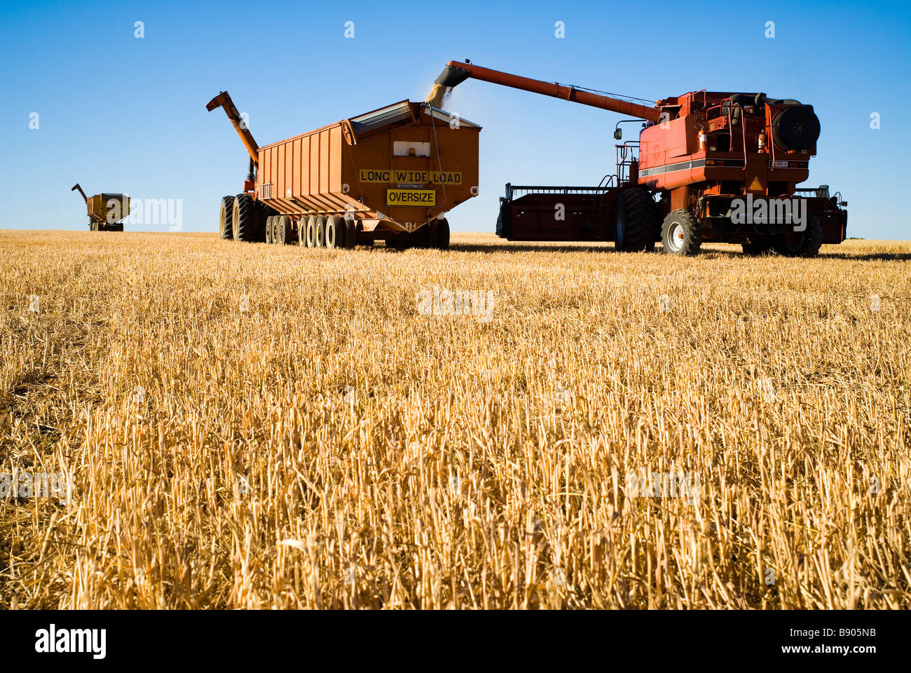 Australian grain production hi-res stock photography and images - Alamy