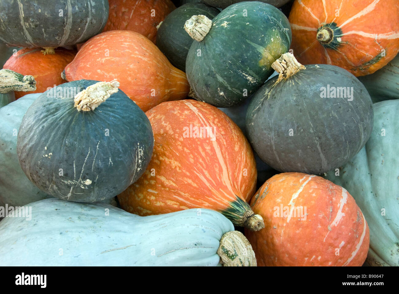 Squash piled up hi-res stock photography and images - Alamy
