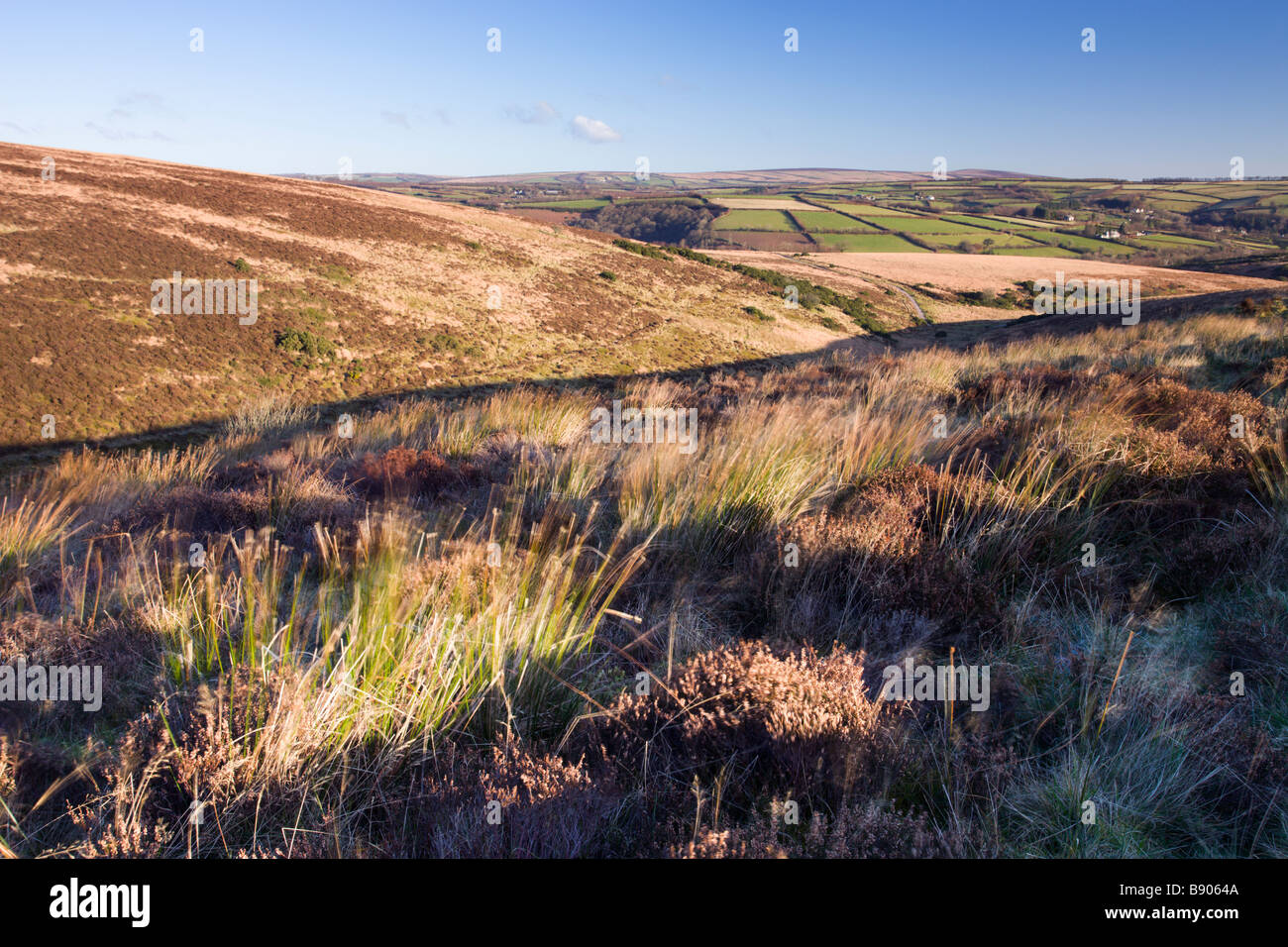 Moorland at Knighton Combe on Withypool Common Exmoor National Park ...