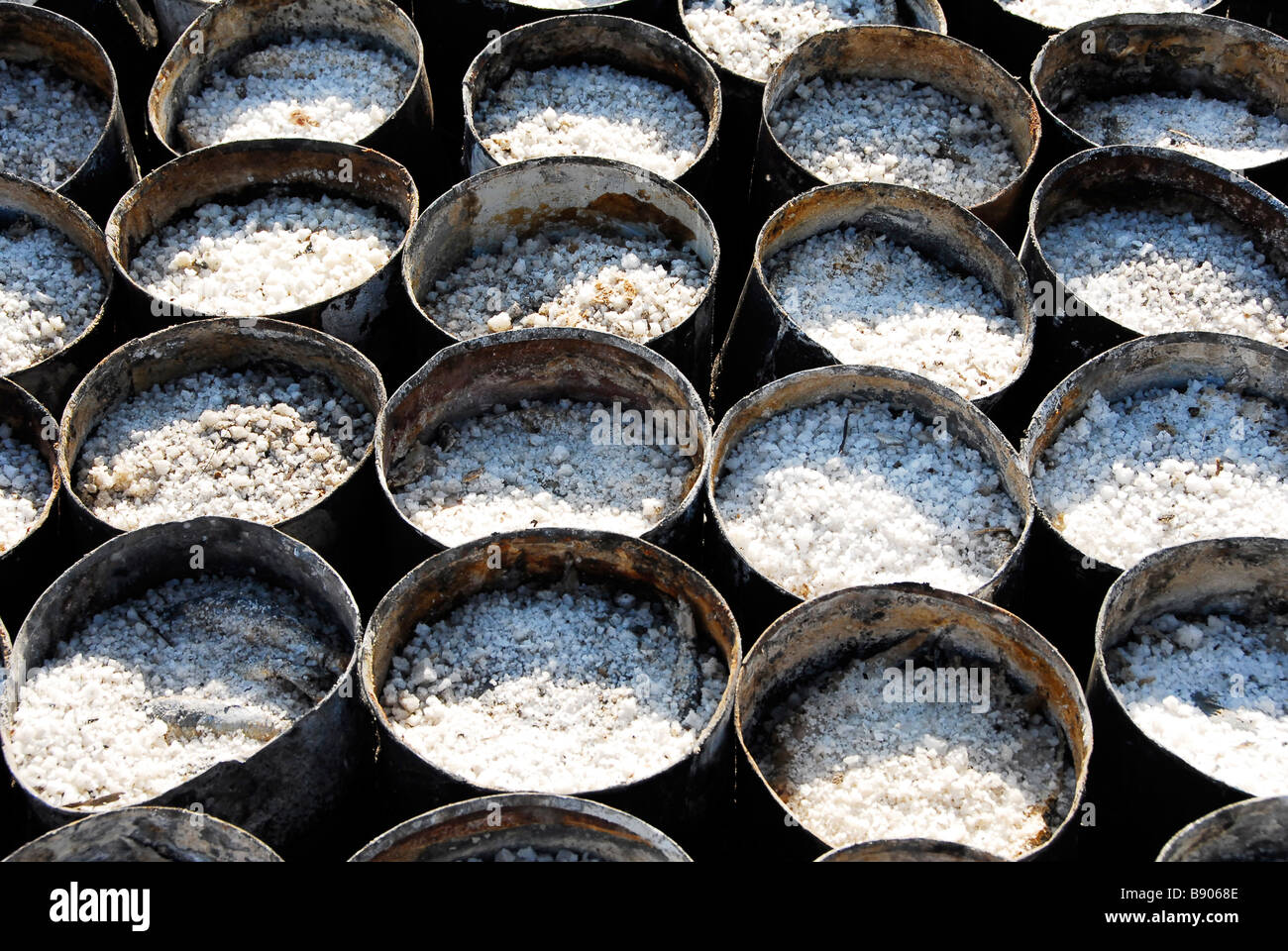 Preserved fish in salt,Singaraja,Bali,Indonesia Stock Photo - Alamy