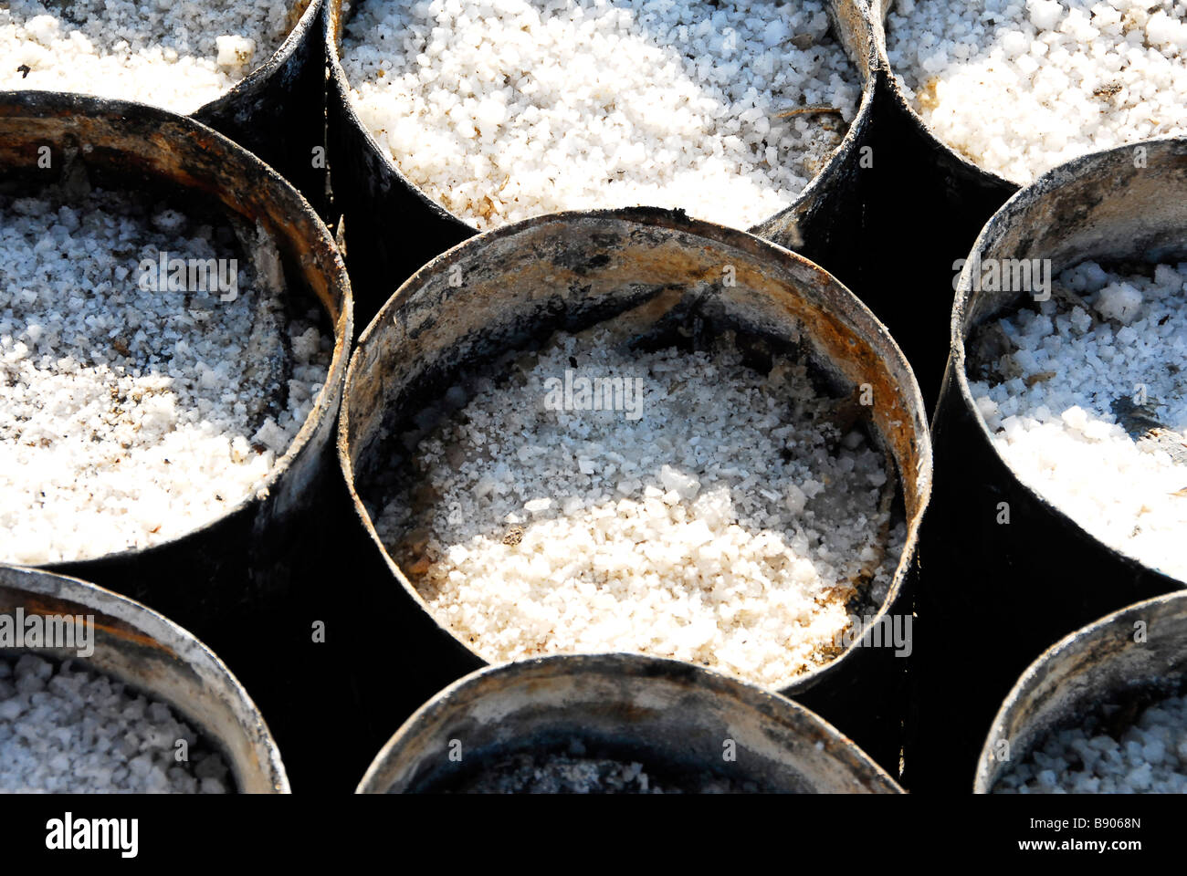 Preserved fish in salt,Singaraja,Bali,Indonesia Stock Photo - Alamy