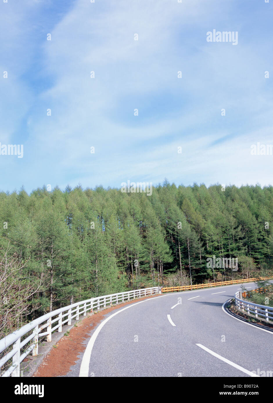Right curve road through forest Stock Photo - Alamy