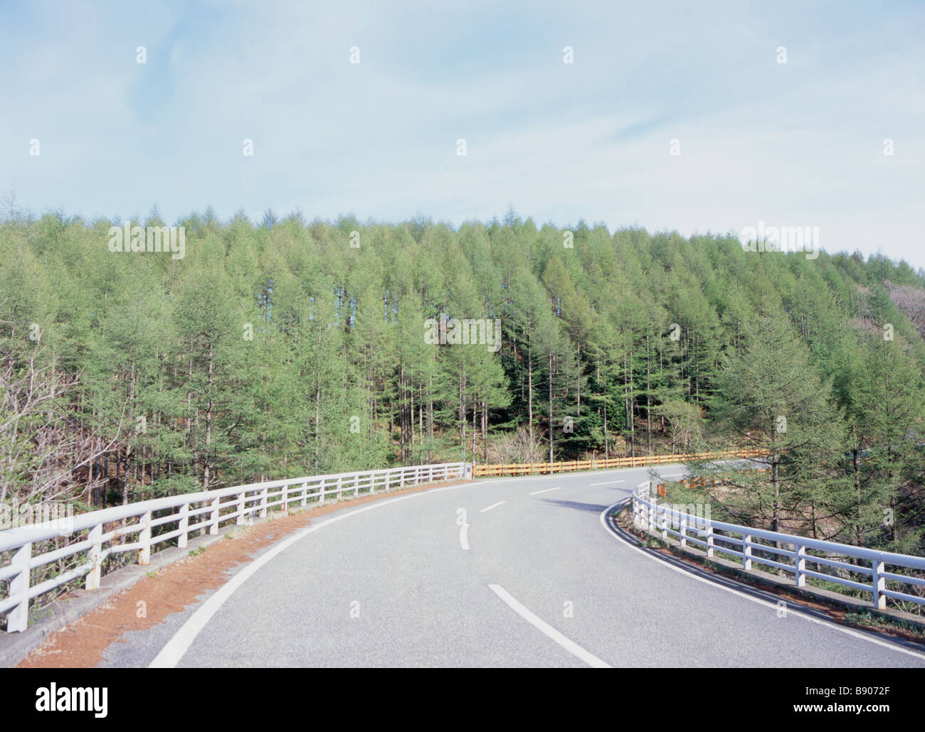 The Right To A Curved Road