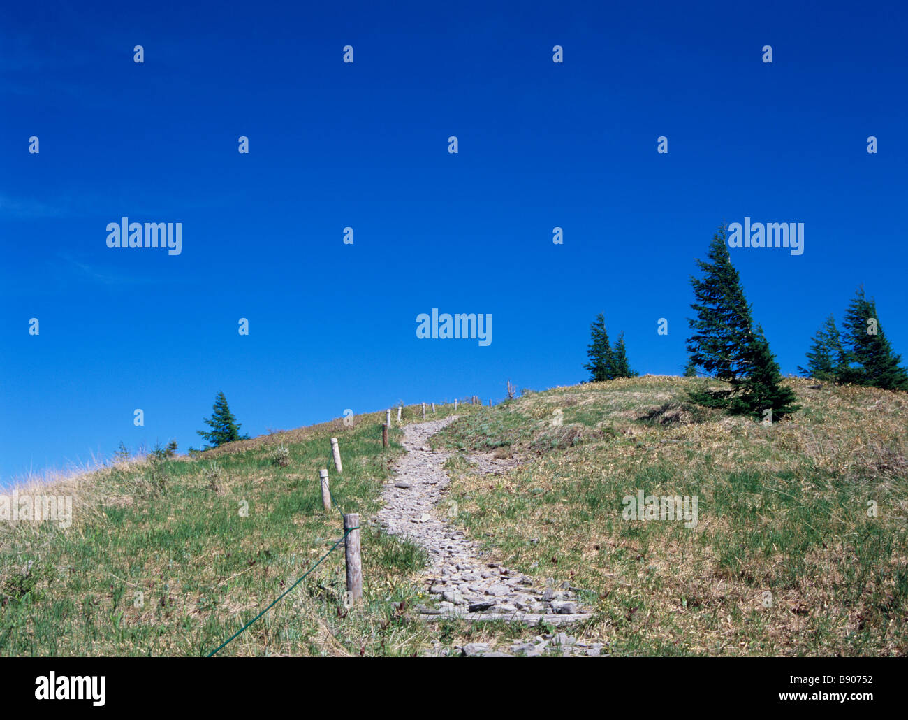 Path and blue sky Stock Photo - Alamy