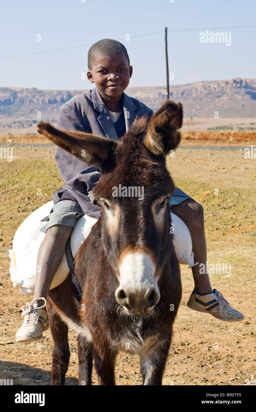 A child transport bags of corn on their donkeys next to the road in ...