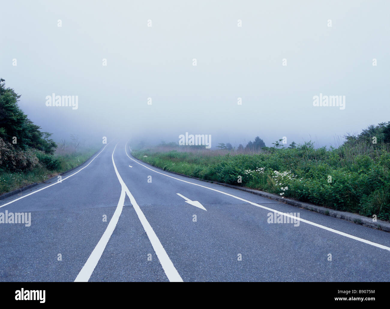 Winding road into fog Stock Photo - Alamy