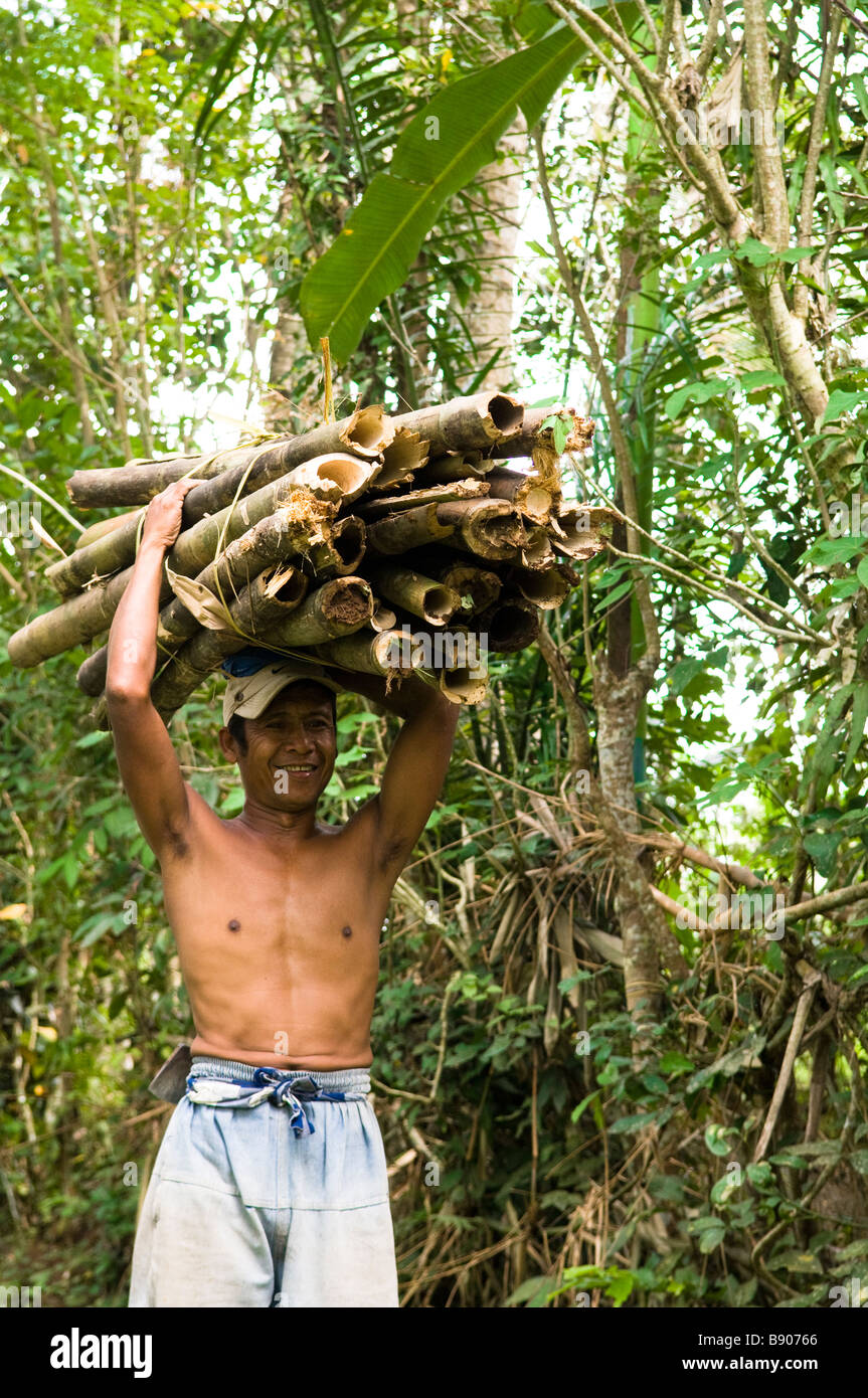 Balinese folk carrying bamboo tube overhead,Ubud,Bali,indonesia Stock ...