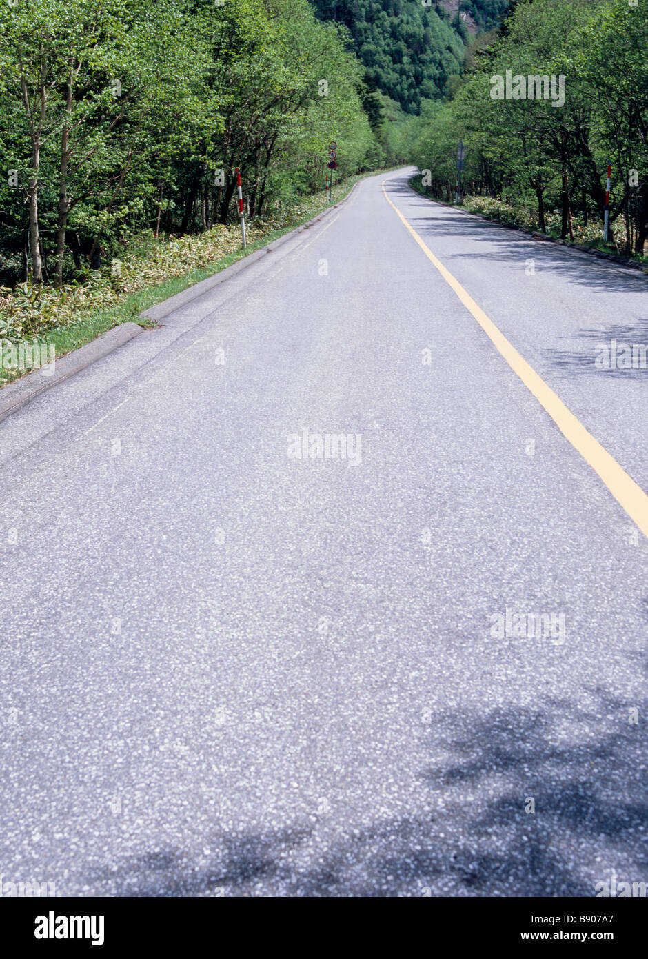 Road through forest Stock Photo - Alamy