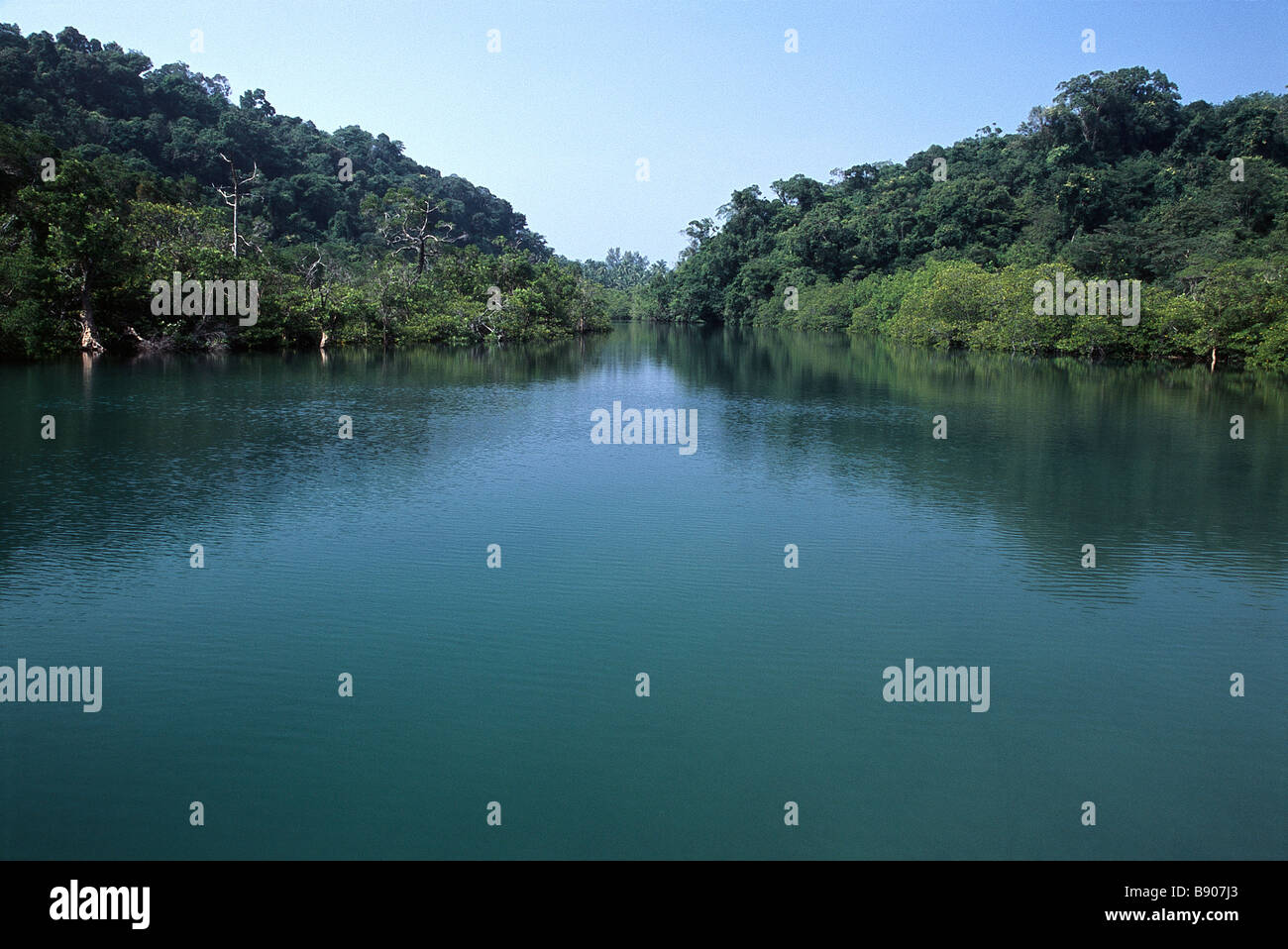 Lagoon enclosed with slopes of mangrove trees and thick forests at Ko ...