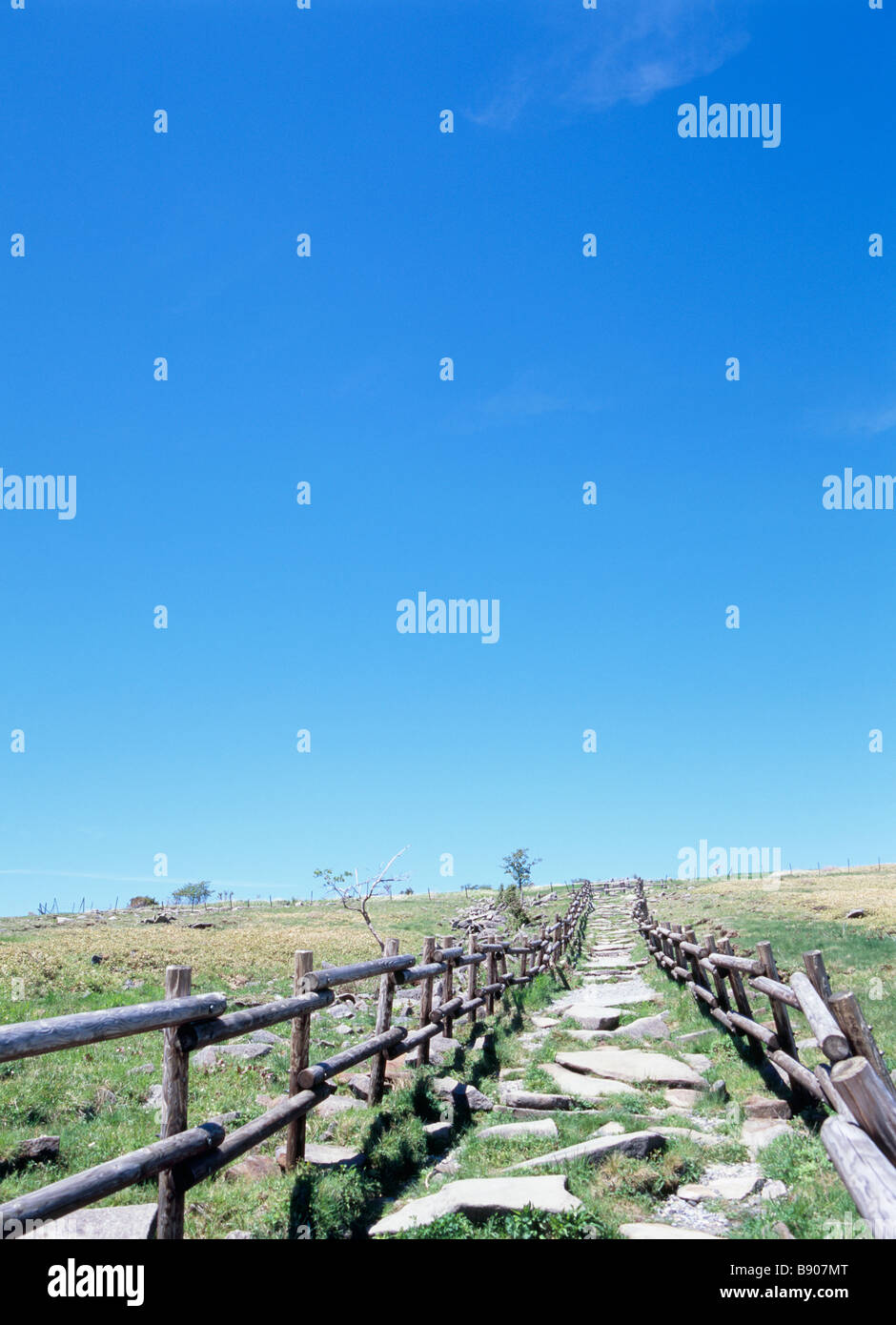 Path and blue sky Stock Photo - Alamy