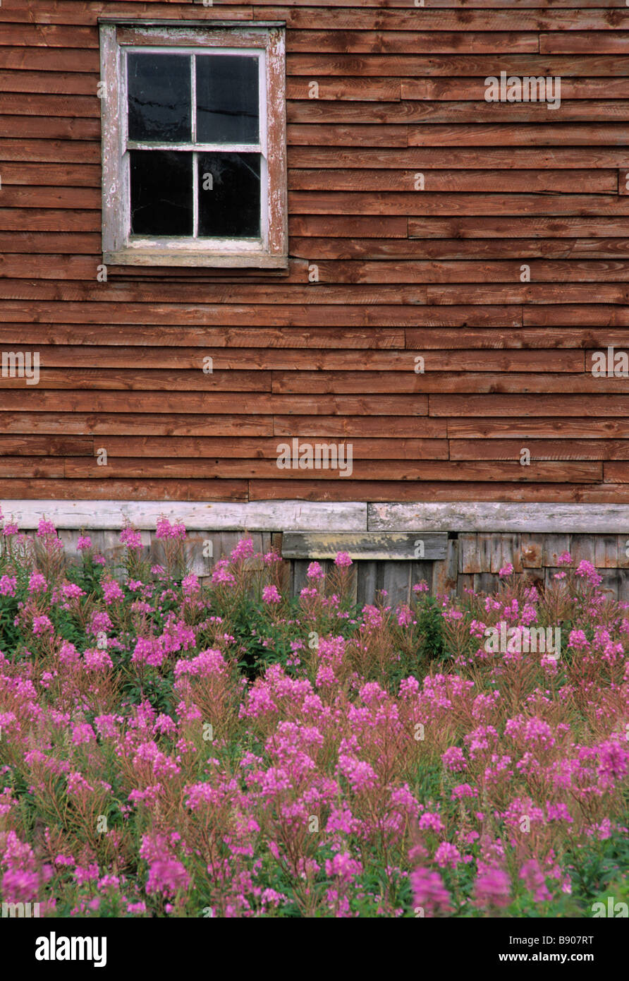 Dunfield hi-res stock photography and images - Alamy