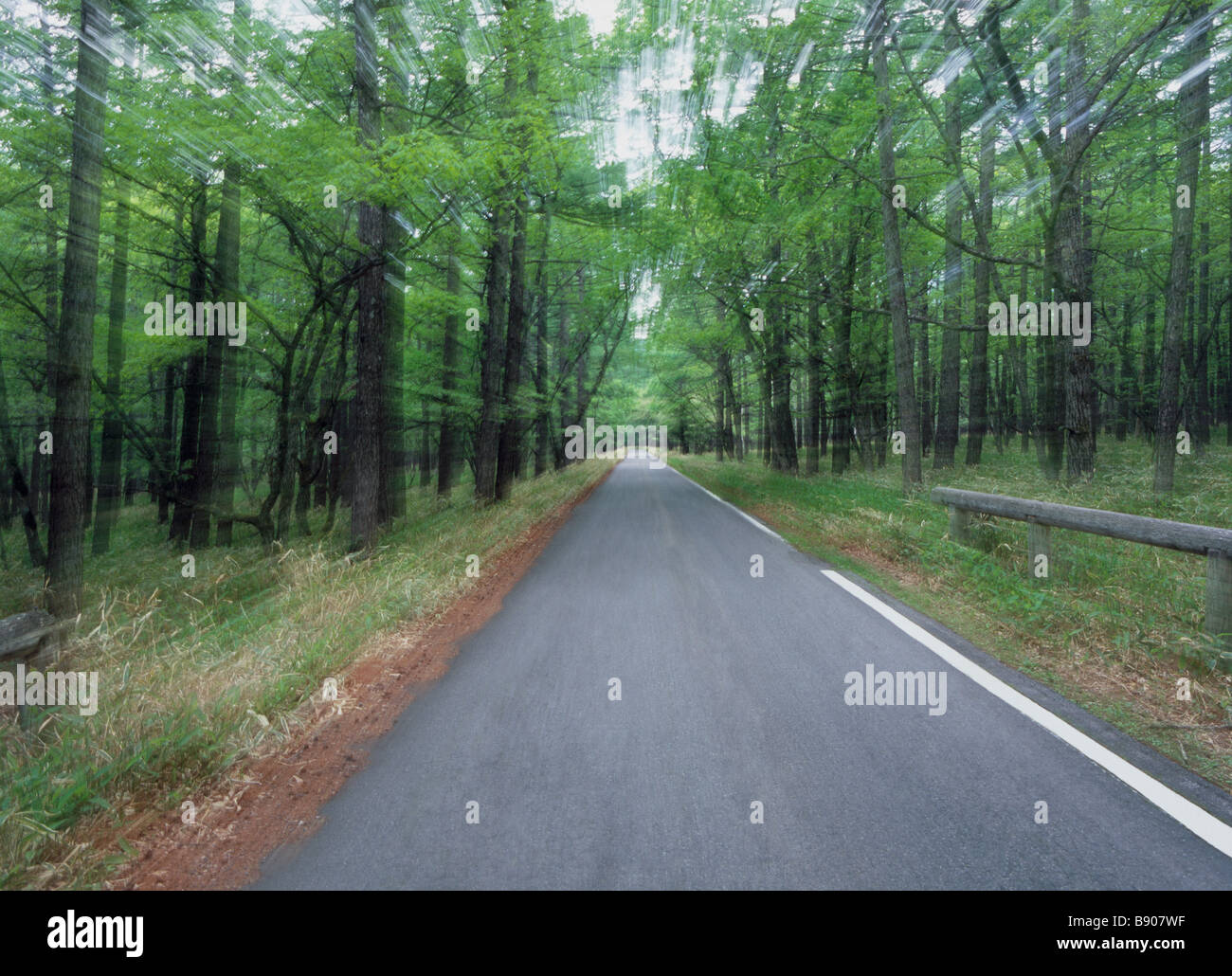 Blurred road through forest Stock Photo - Alamy