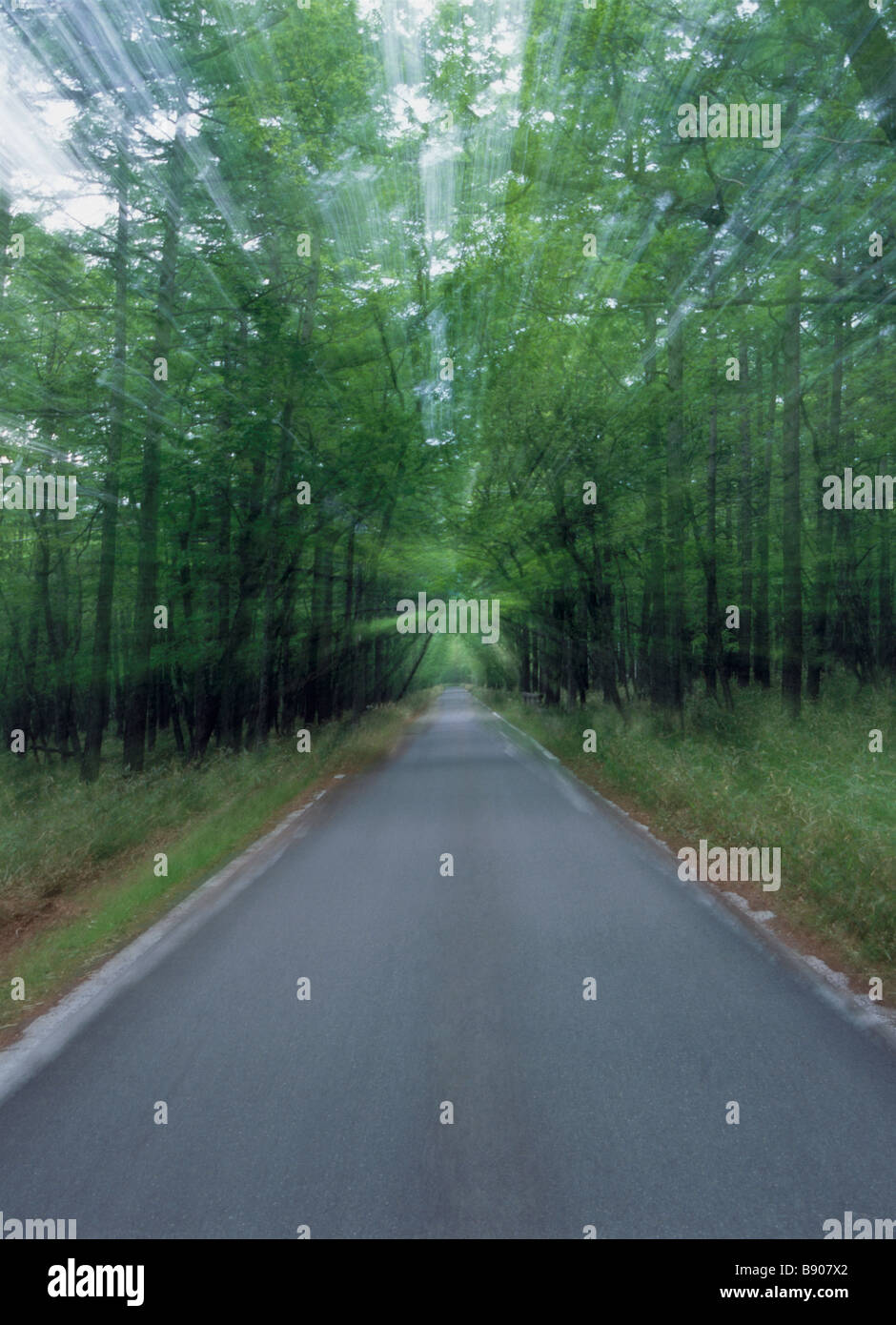 Blurred road through forest Stock Photo - Alamy