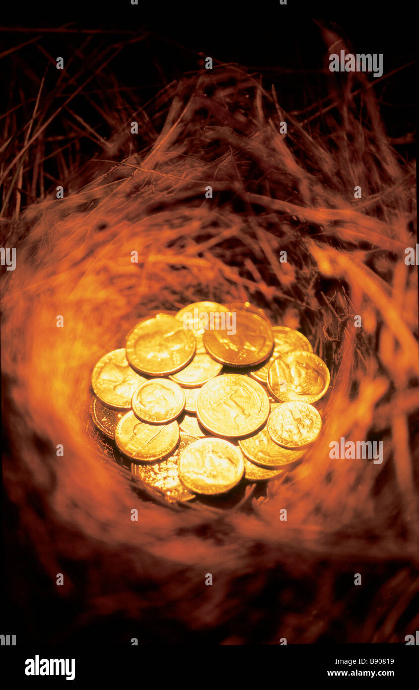 Silver nest hi-res stock photography and images - Alamy