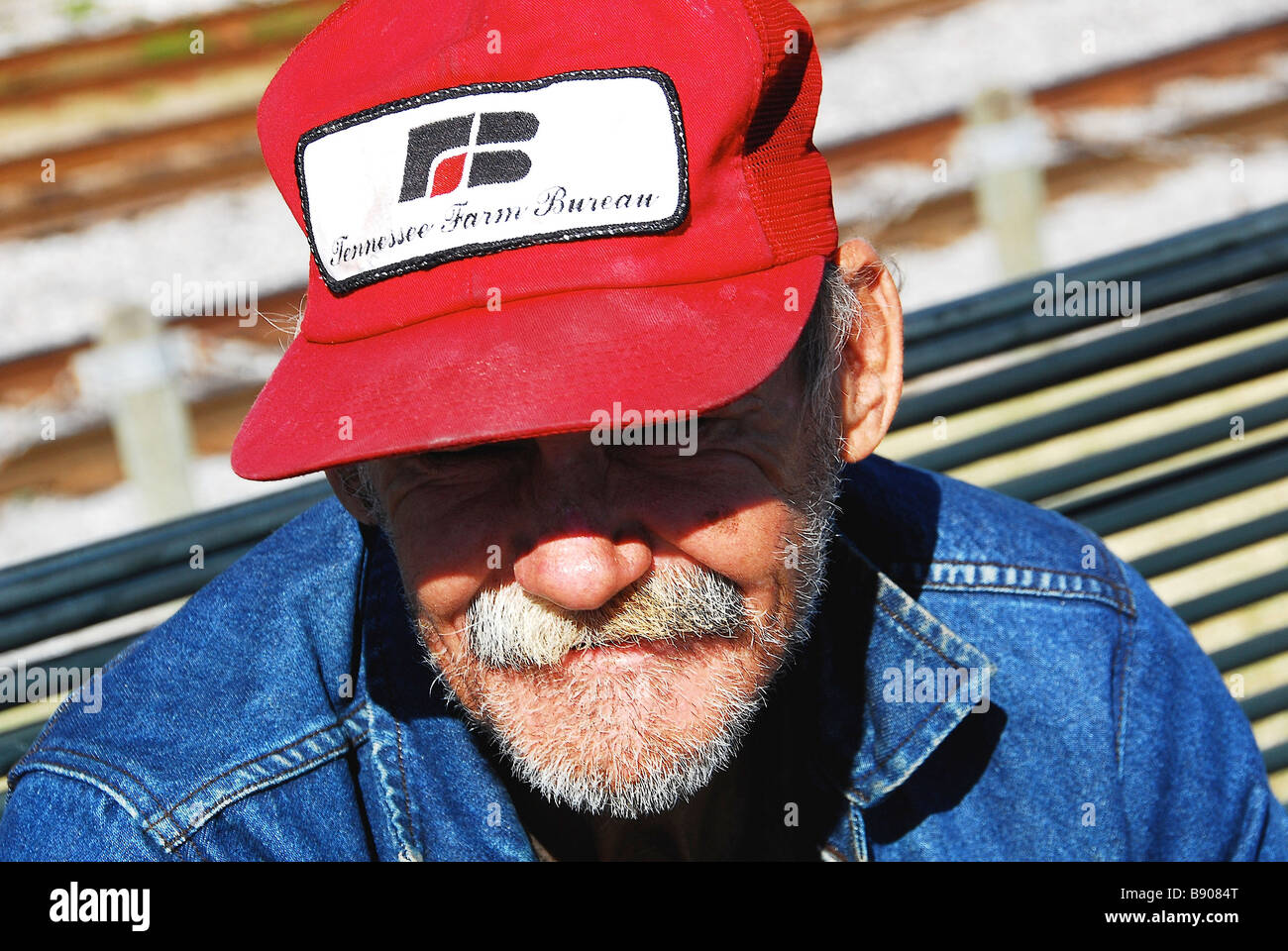 White Old Man, Tennessee, United States of America, North America Stock ...