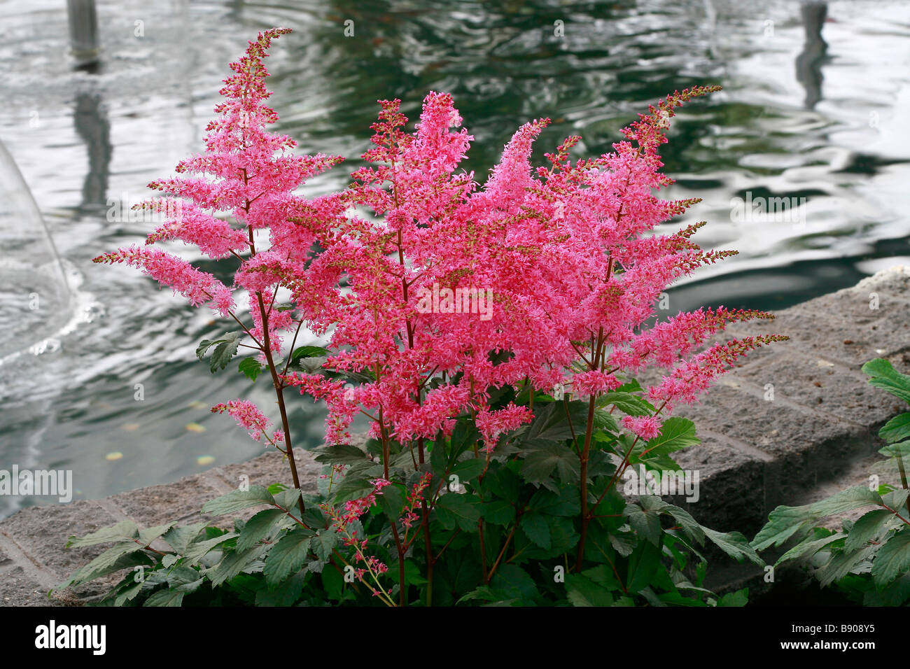 Rhythm and blues hi-res stock photography and images - Alamy