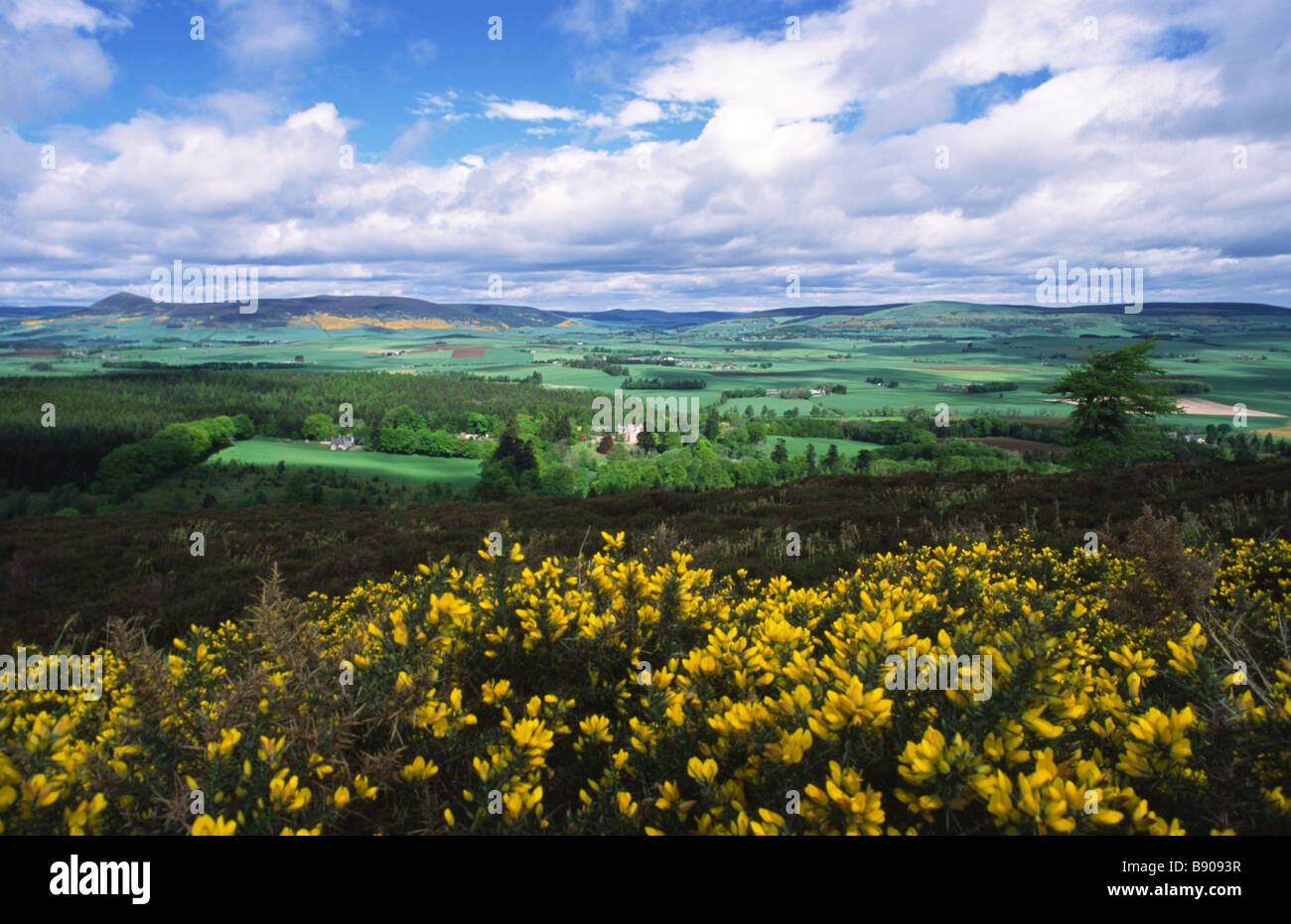 Strathbogie hi-res stock photography and images - Alamy