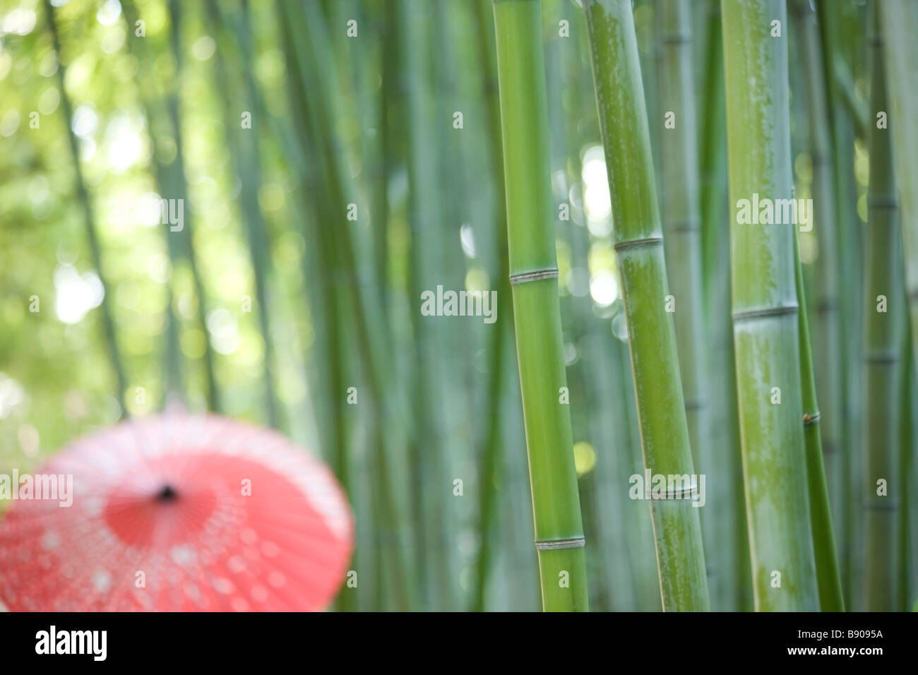 Umbrella bamboo hi-res stock photography and images - Alamy