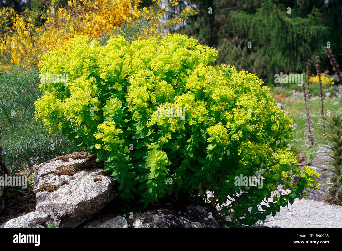 Hyberna hi-res stock photography and images - Alamy