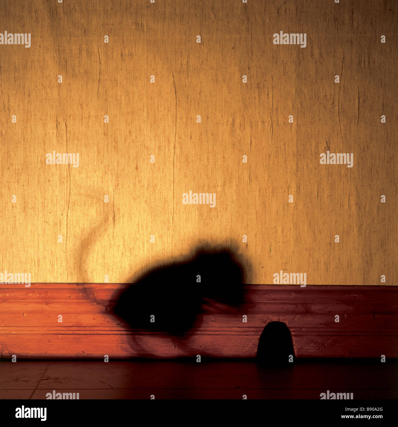 FL0760, R Elmy; Concept, Mouse Hole, Shadow Mouse Stock Photo - Alamy