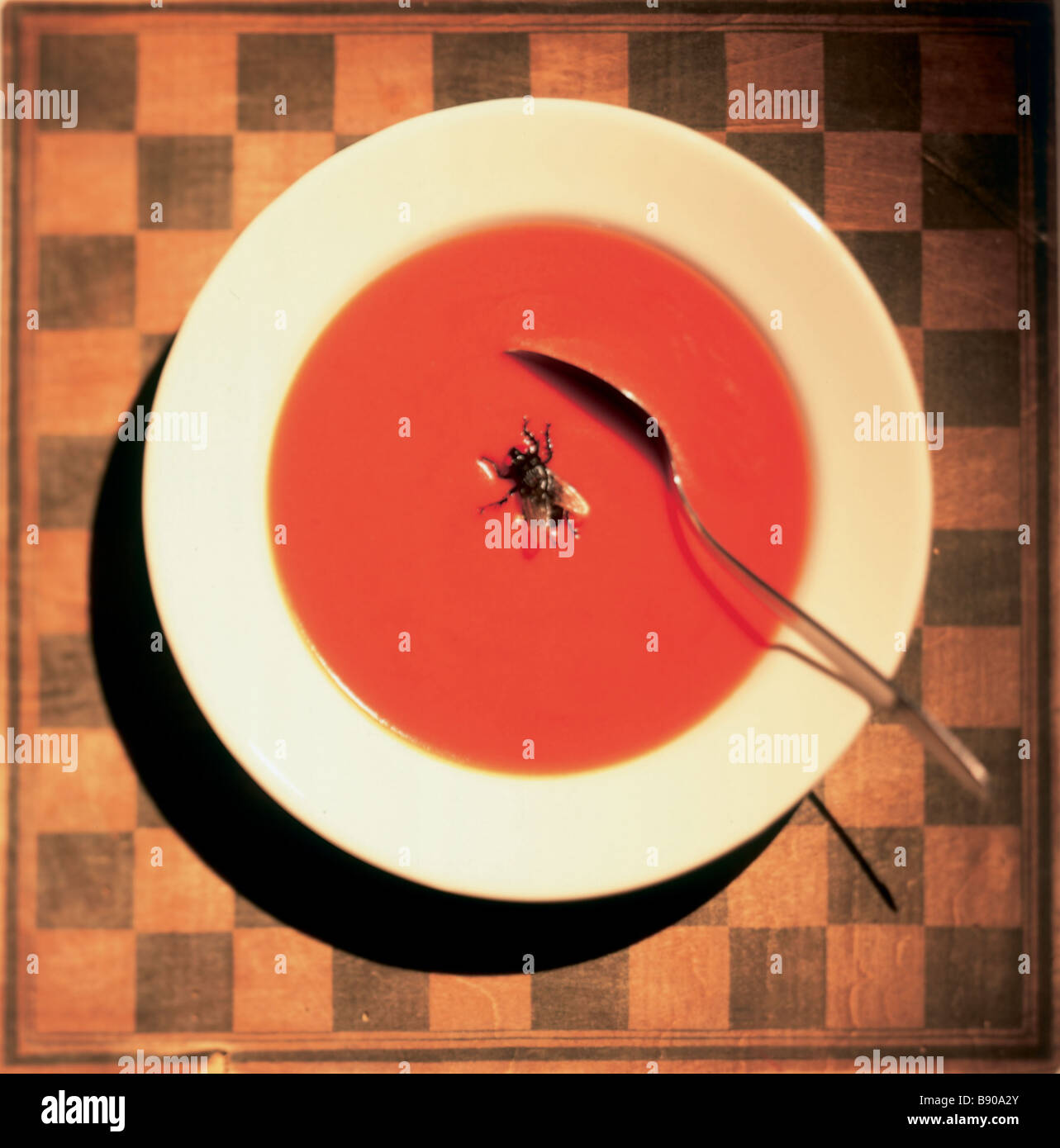 Fly soup hi-res stock photography and images - Alamy