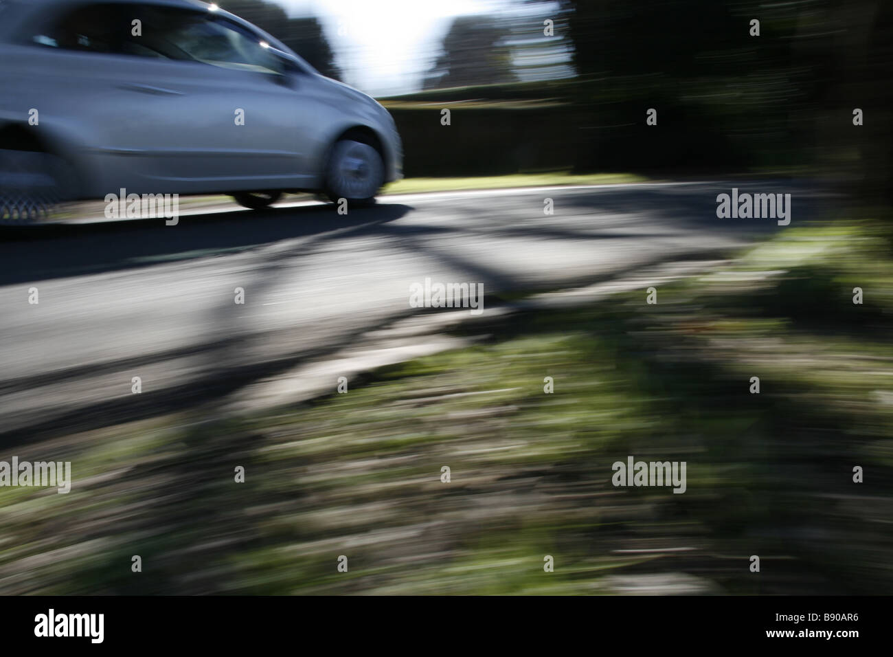 Trees street road one one concept idea hi-res stock photography and ...
