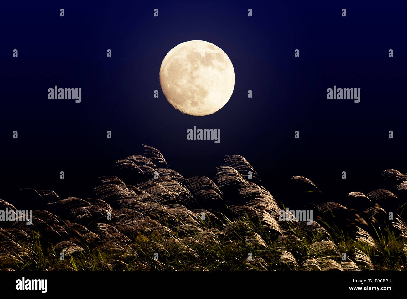 Moon hi-res stock photography and images - Alamy