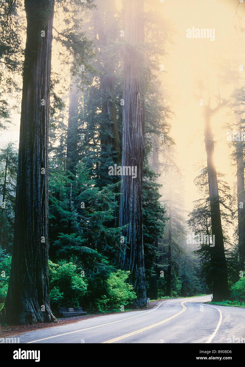 FL1037, D Wiggett; Winding Road, est Stock Photo - Alamy