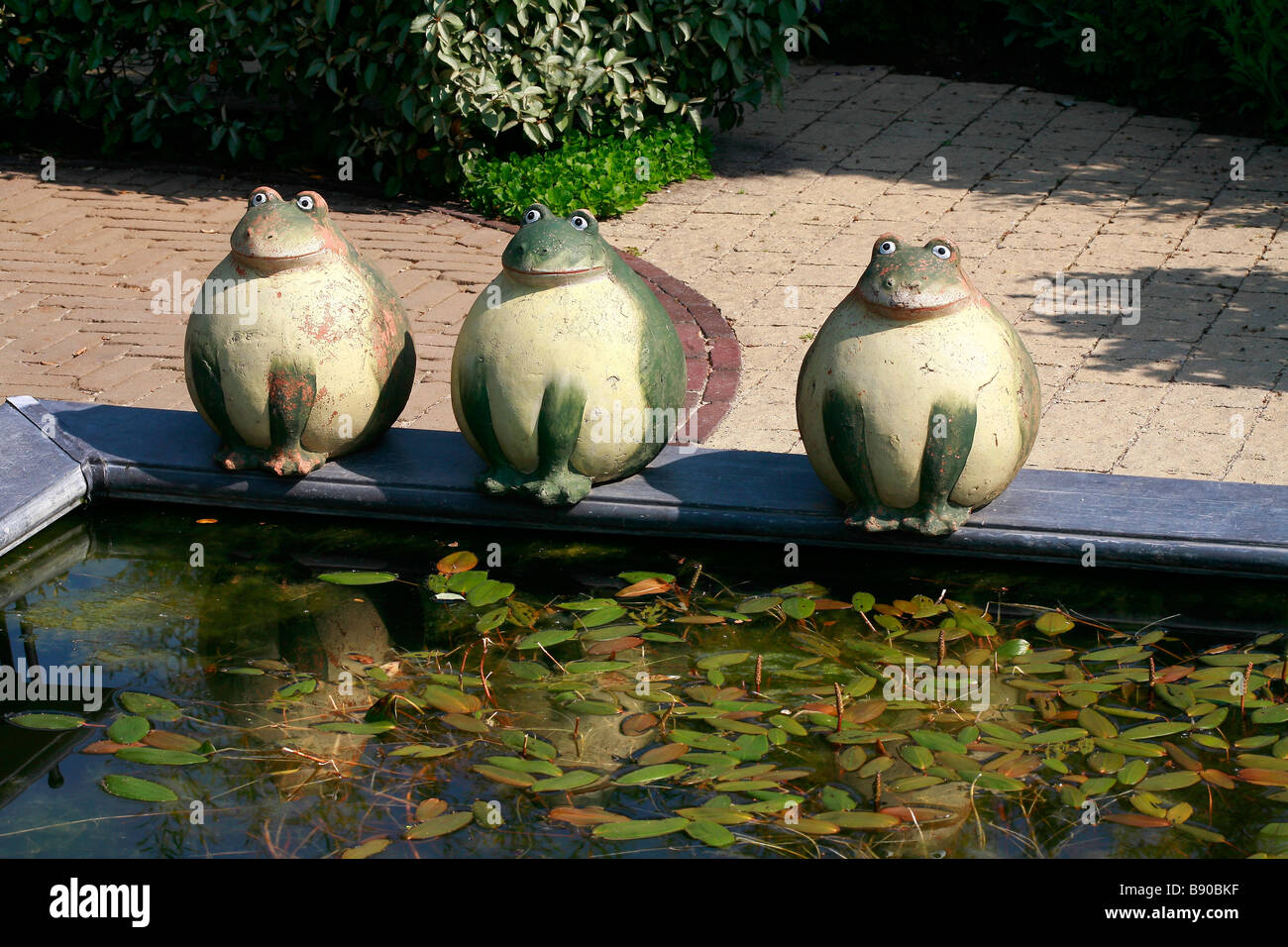Frogs and fish pond Stock Photo - Alamy