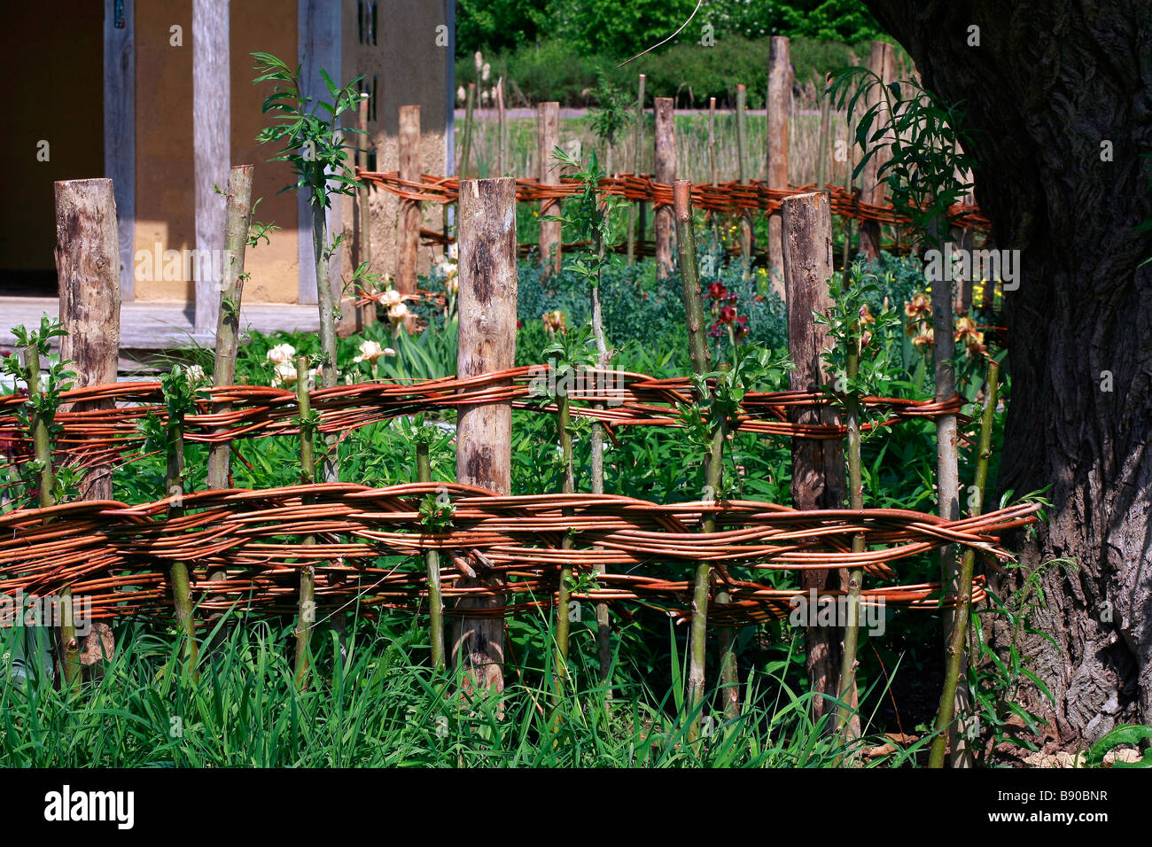 Fence with willow stakes Stock Photo - Alamy