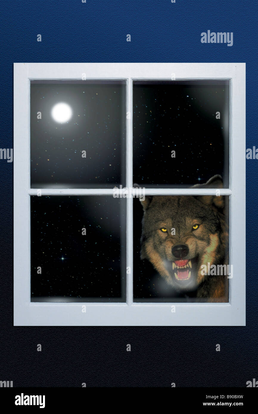 FL1097, Kitchin/Hurst; Wolf Window, Full Moon Stock Photo - Alamy