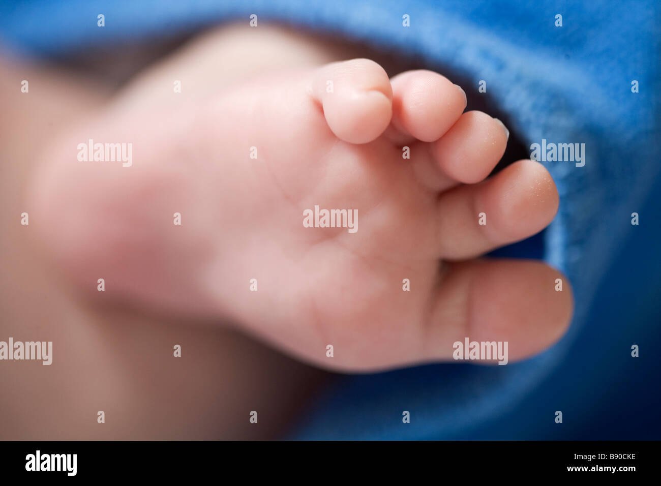 Baby foot close-up Stock Photo - Alamy