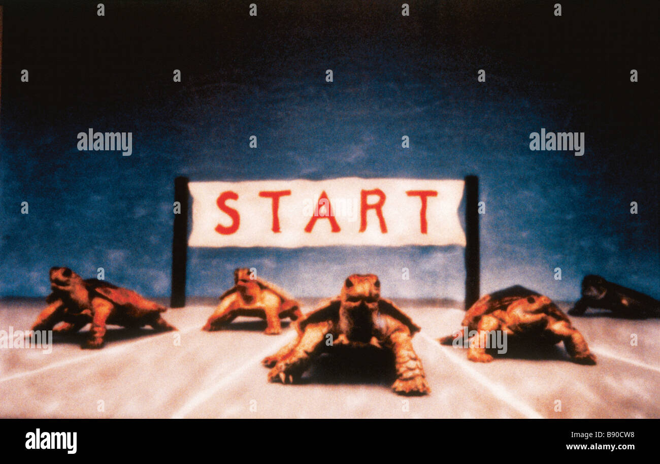 Elmy hi-res stock photography and images - Alamy