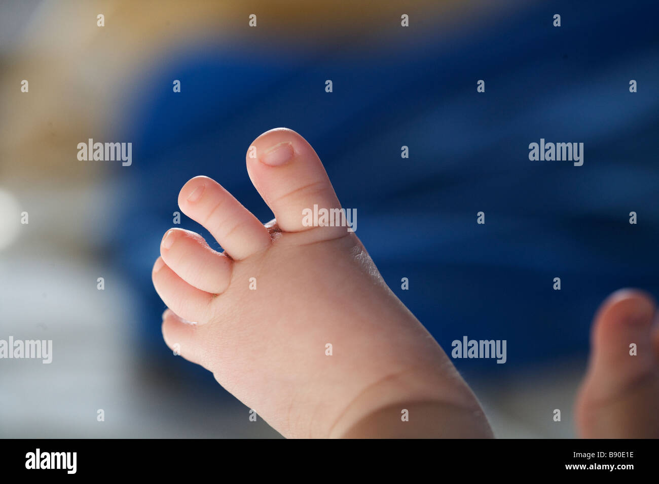 A foot close-up Sweden Stock Photo - Alamy