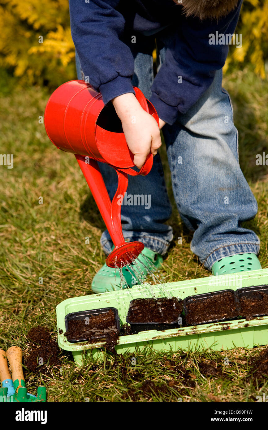 A boy planting flowers Sweden Stock Photo - Alamy