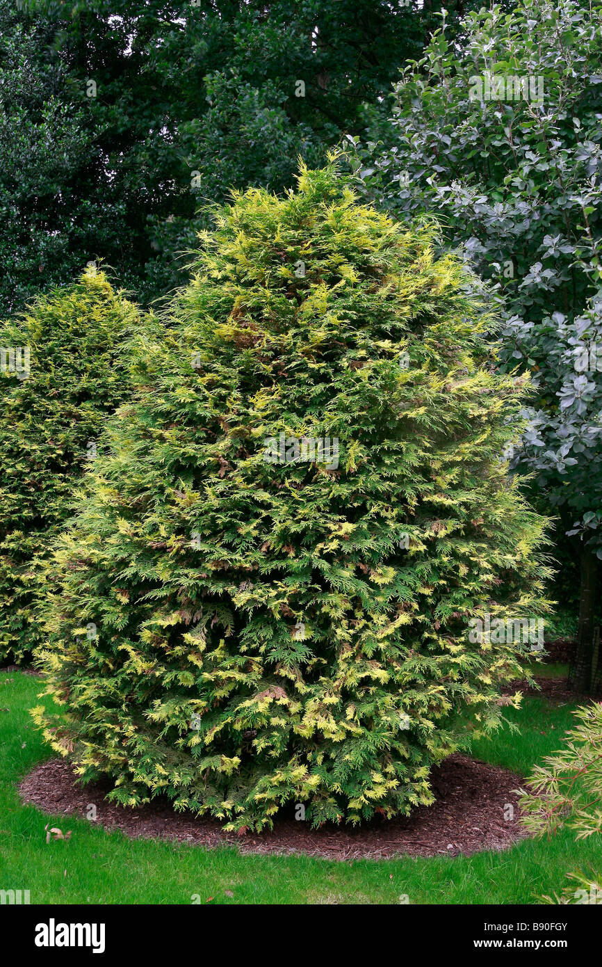 Handcross hi-res stock photography and images - Alamy