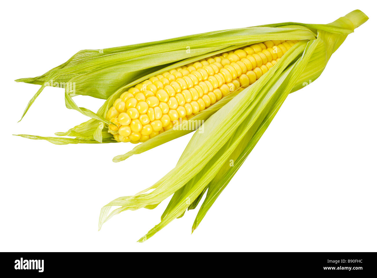 Kernel of corn (clipping path Stock Photo - Alamy