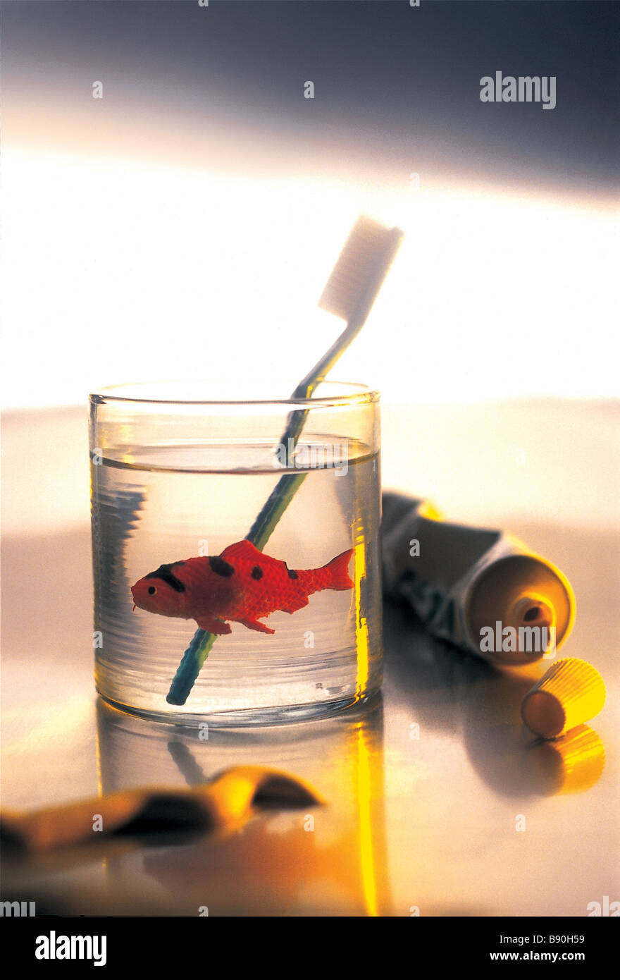 FL3067, WILL DATENE; Plastic fish toothbrush glass Stock Photo - Alamy