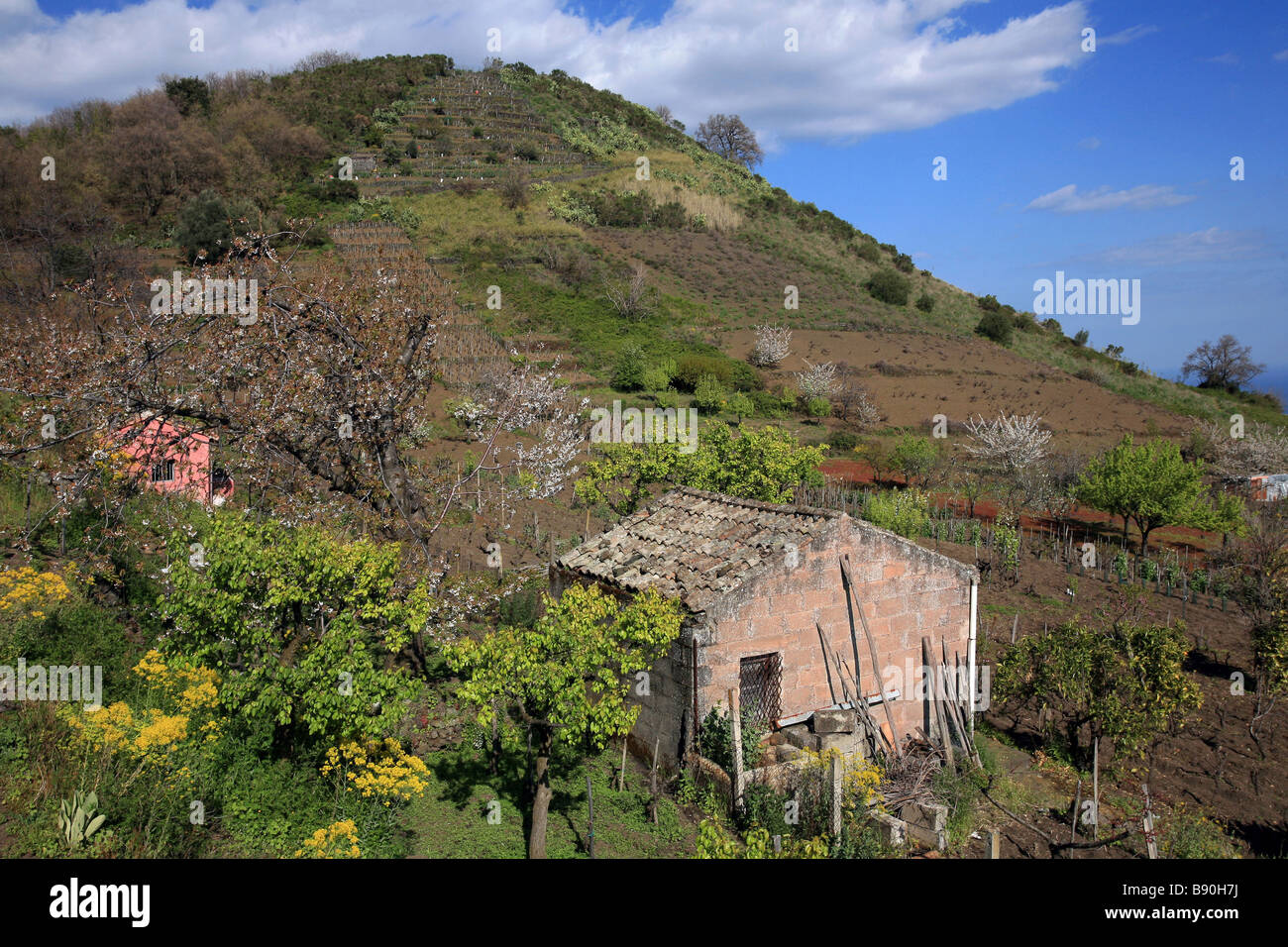 Sicilian countryside hi-res stock photography and images - Alamy