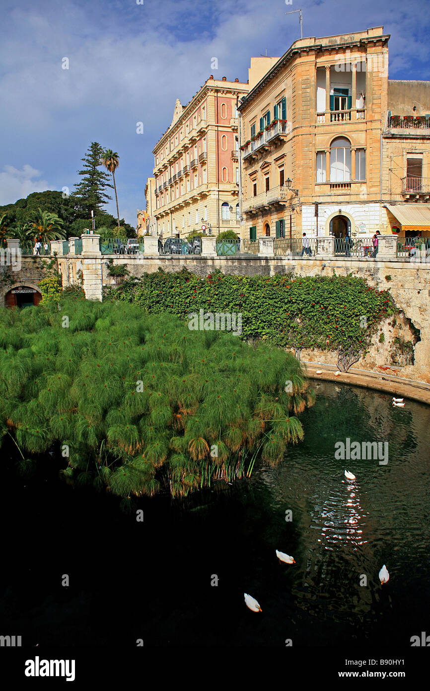 Arethuse fountain, Ortygia island, Sicily, Italy Stock Photo - Alamy