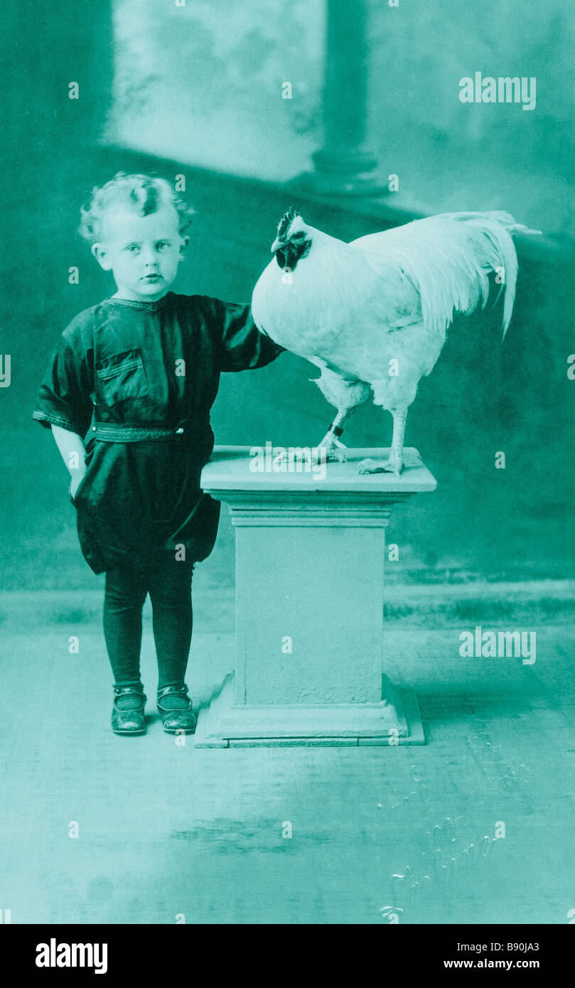 Prize poultry hi-res stock photography and images - Alamy