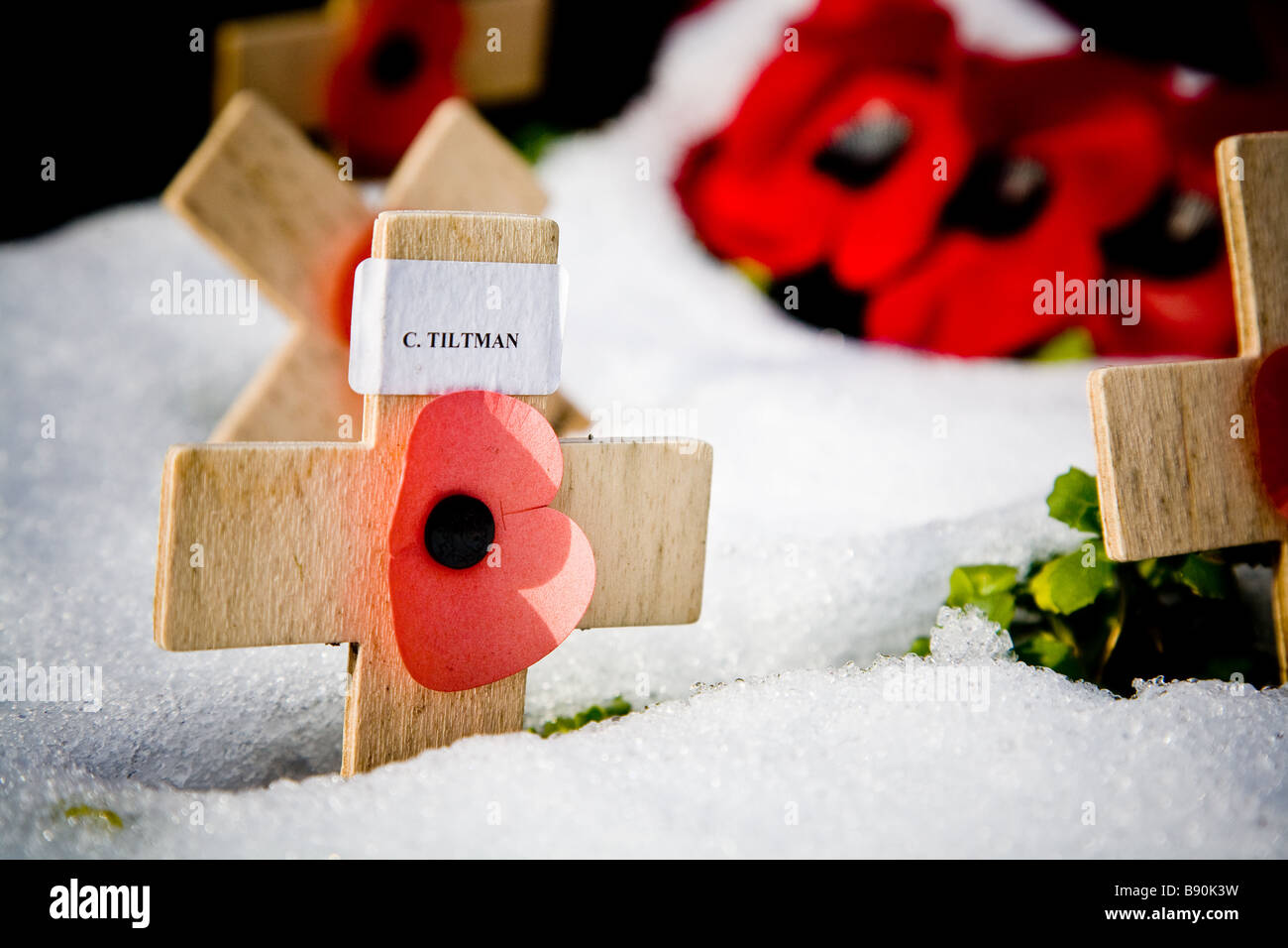 Poppy memorial cross Stock Photo - Alamy