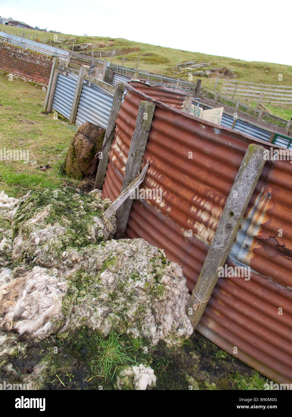 Sheep dip hi-res stock photography and images - Alamy